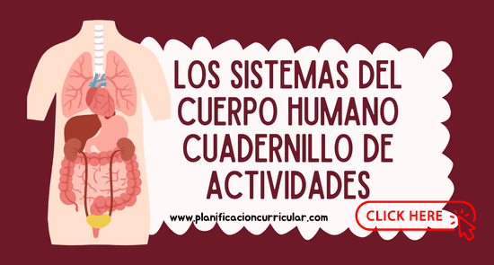 LOS SISTEMAS DEL CUERPO HUMANO – CUADERNILLO DE ACTIVIDADES ...